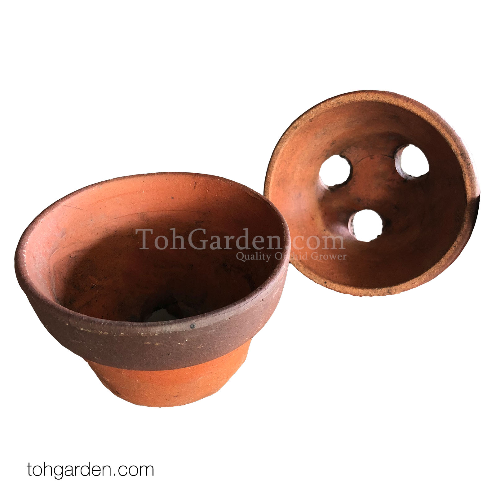 Basic Clay Pots - Toh Garden : Singapore Orchid Plant & Flower Grower