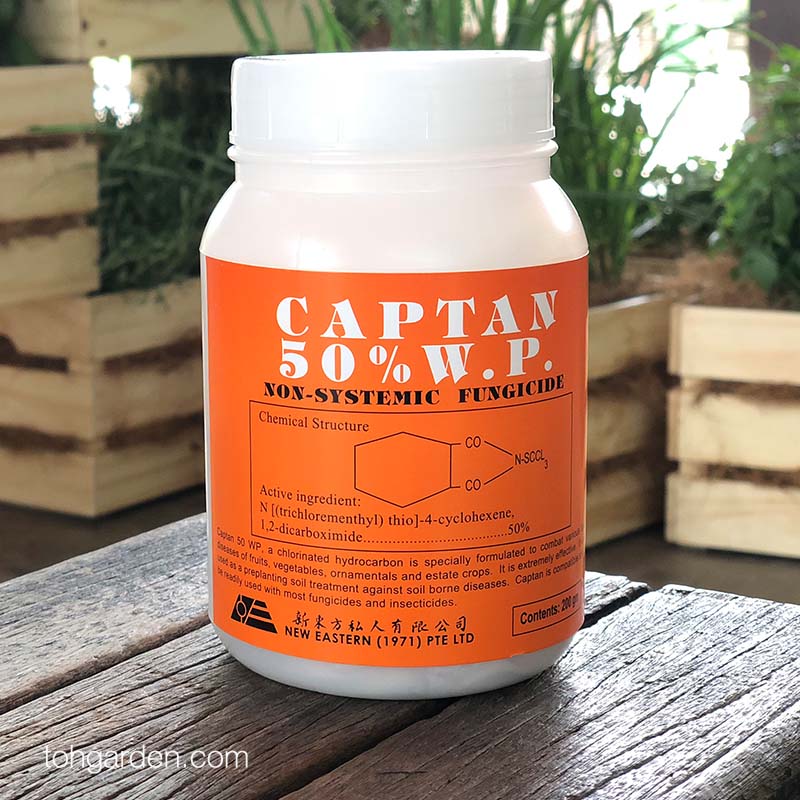 Captan 50 Wp Non Systemic Fungicide Toh Garden Singapore Orchid Plant And Flower Grower