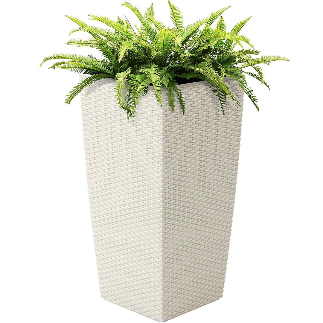 Cubo Self Watering Planter - Toh Garden : Singapore Orchid Plant ...