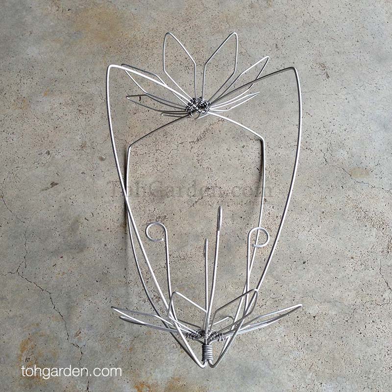 Metal Carrot - Toh Garden : Singapore Orchid Plant & Flower Grower