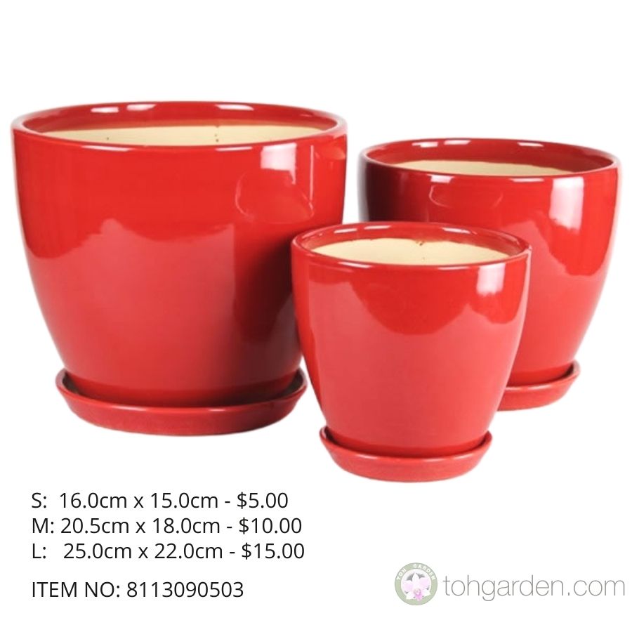 Red Ceramic Pot (ITEM NO: 8113090402) - Toh Garden : Singapore Orchid ...