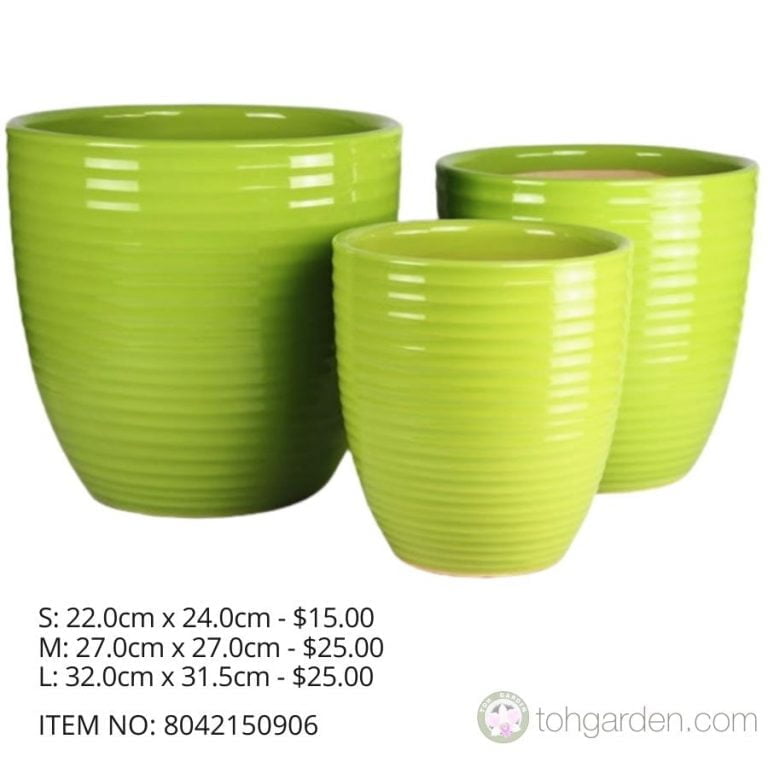 Green Ceramic Pot (ITEM NO: 8042140905) - Toh Garden : Singapore Orchid ...