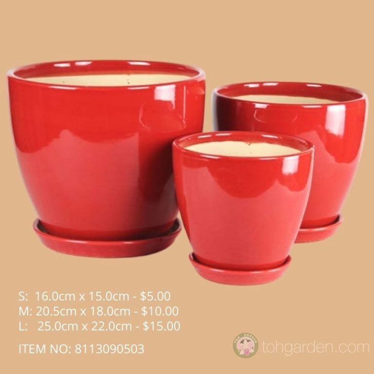 Red Ceramic Pot (ITEM NO: 8113090402) - Toh Garden : Singapore Orchid ...