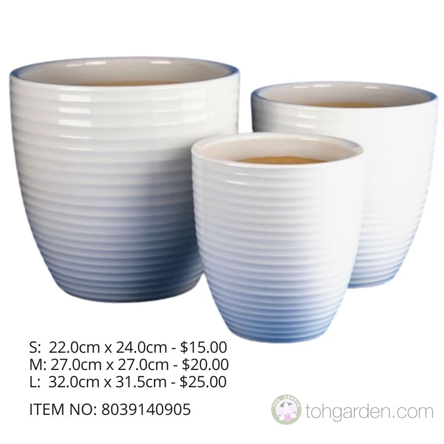 Ceramic Pots Archives | Toh Garden