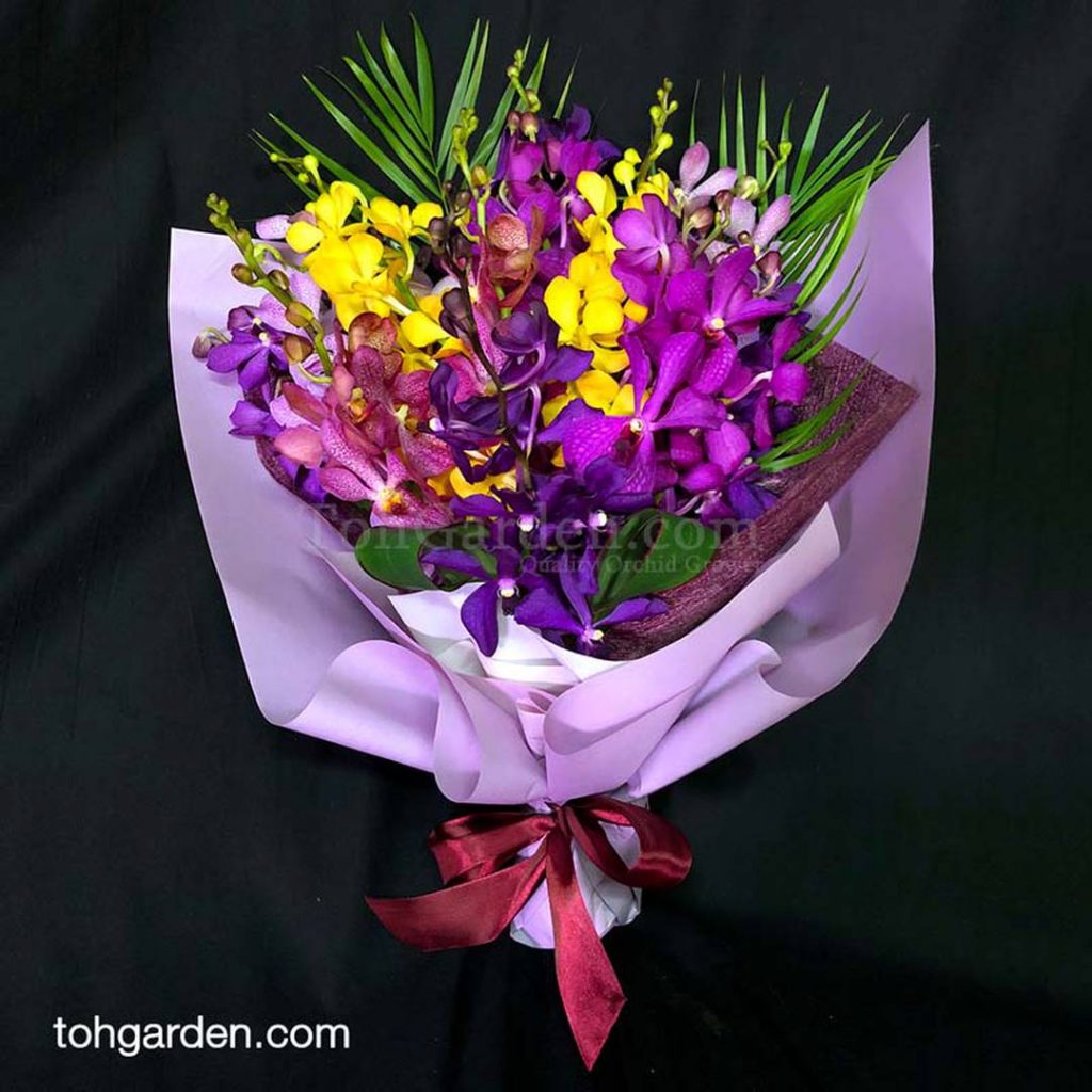 Fresh Cut Orchids - Toh Garden : Singapore Orchid Plant & Flower Grower