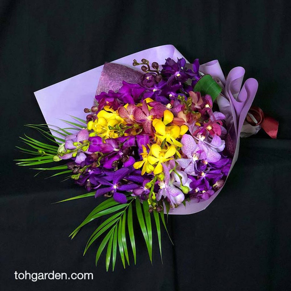 Fresh Cut Orchids - Toh Garden : Singapore Orchid Plant & Flower Grower