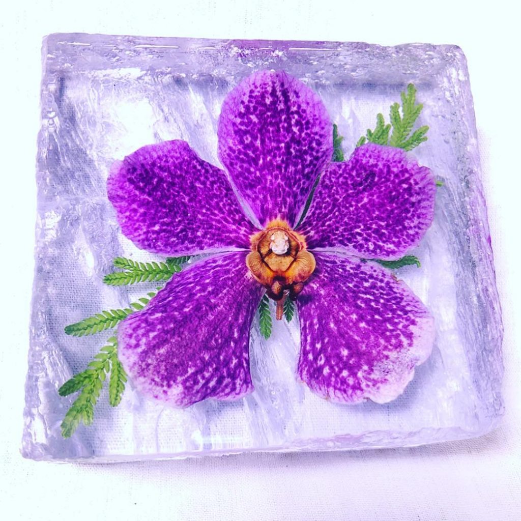 Orchid Crystal Archives - Toh Garden