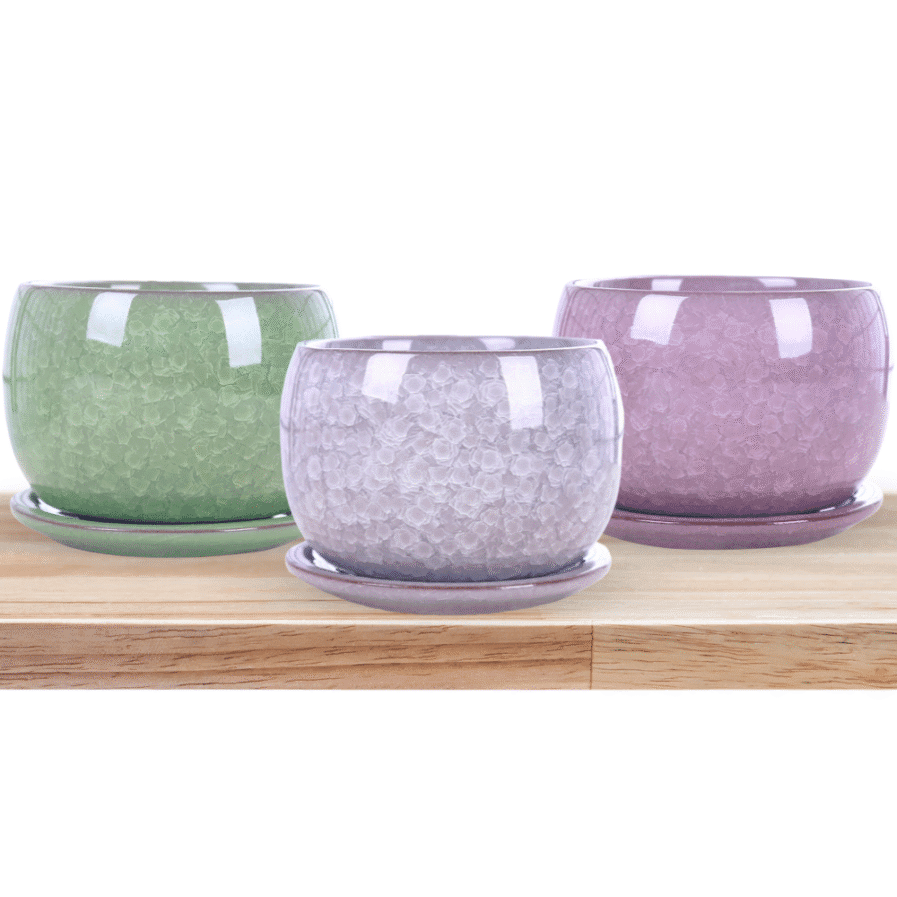 Crystal Pebble Pot - Toh Garden : Singapore Orchid Plant & Flower Grower